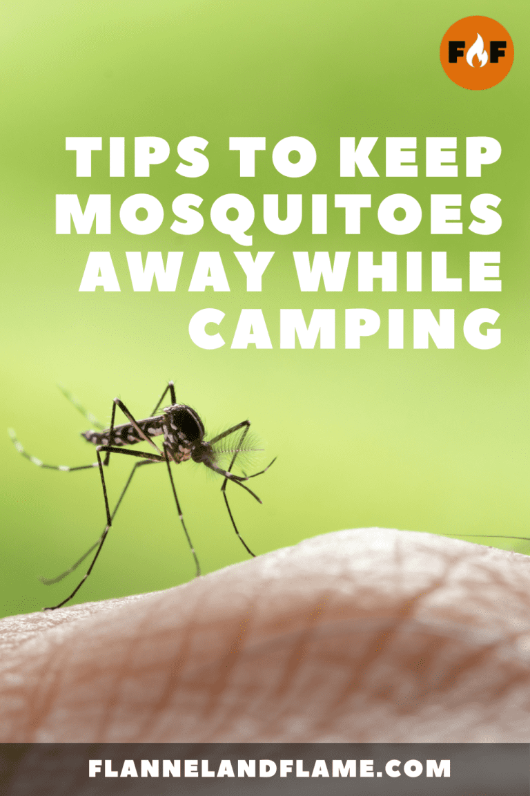 Camping with Mosquitoes: A Complete Guide to Enjoying the Outdoors ...